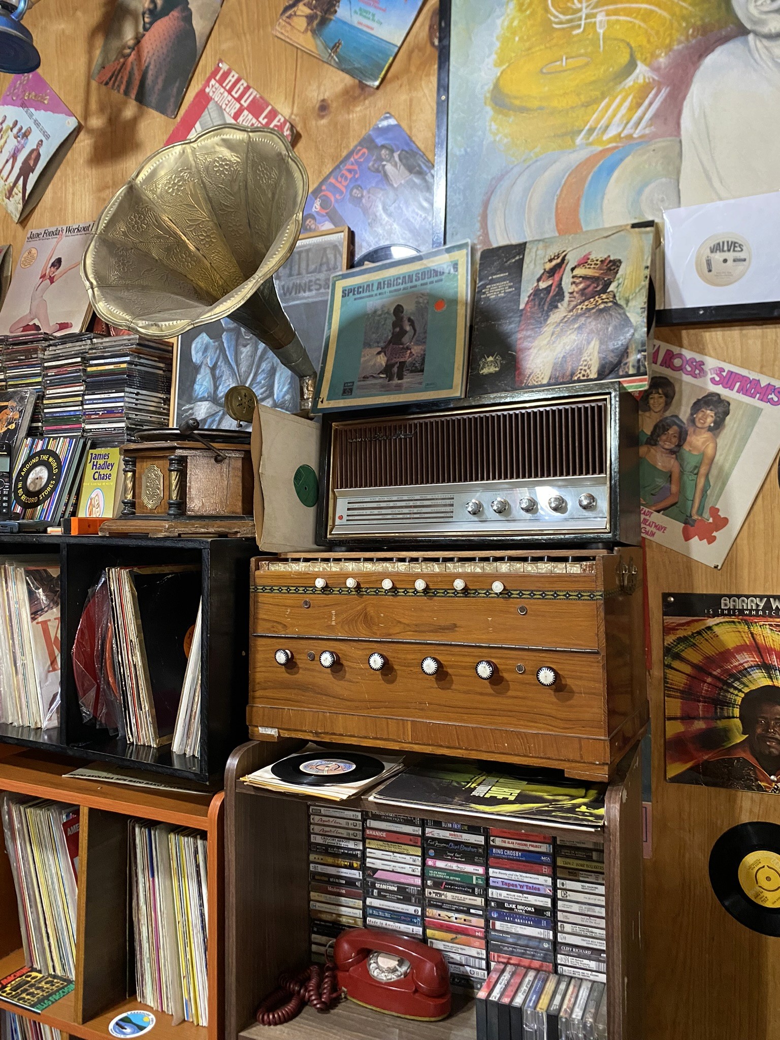 The Real Vinyl Guru