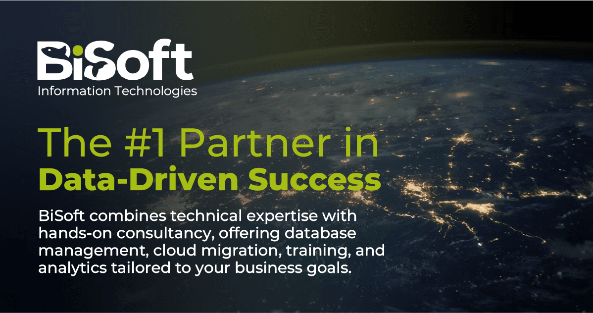 BiSoft – Enterprise Data Solutions and Software Services