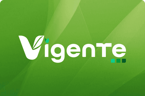 Vigente - Conectamos território e tecnologia para sua tomada de decisões.