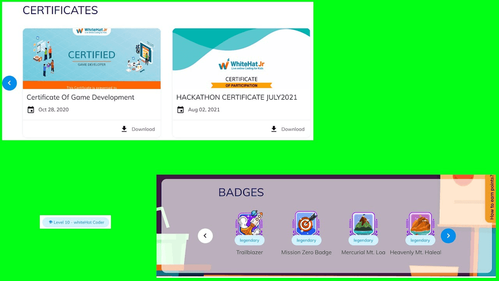 Using Gamification Badges for Motivation and Learning
