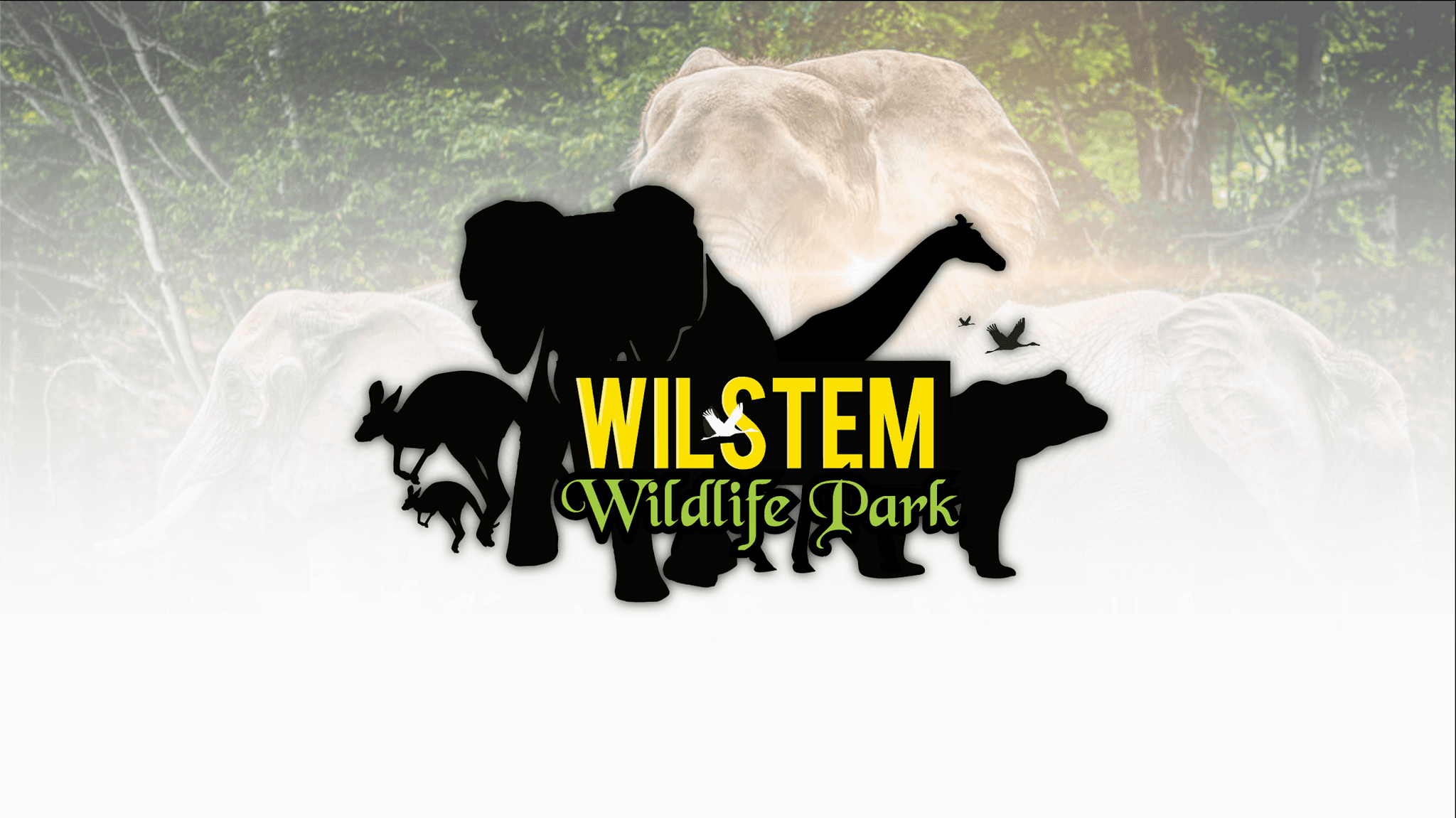 Wilstem Wildlife Park — A Southern Indiana Hidden Gem - Get Indiana.