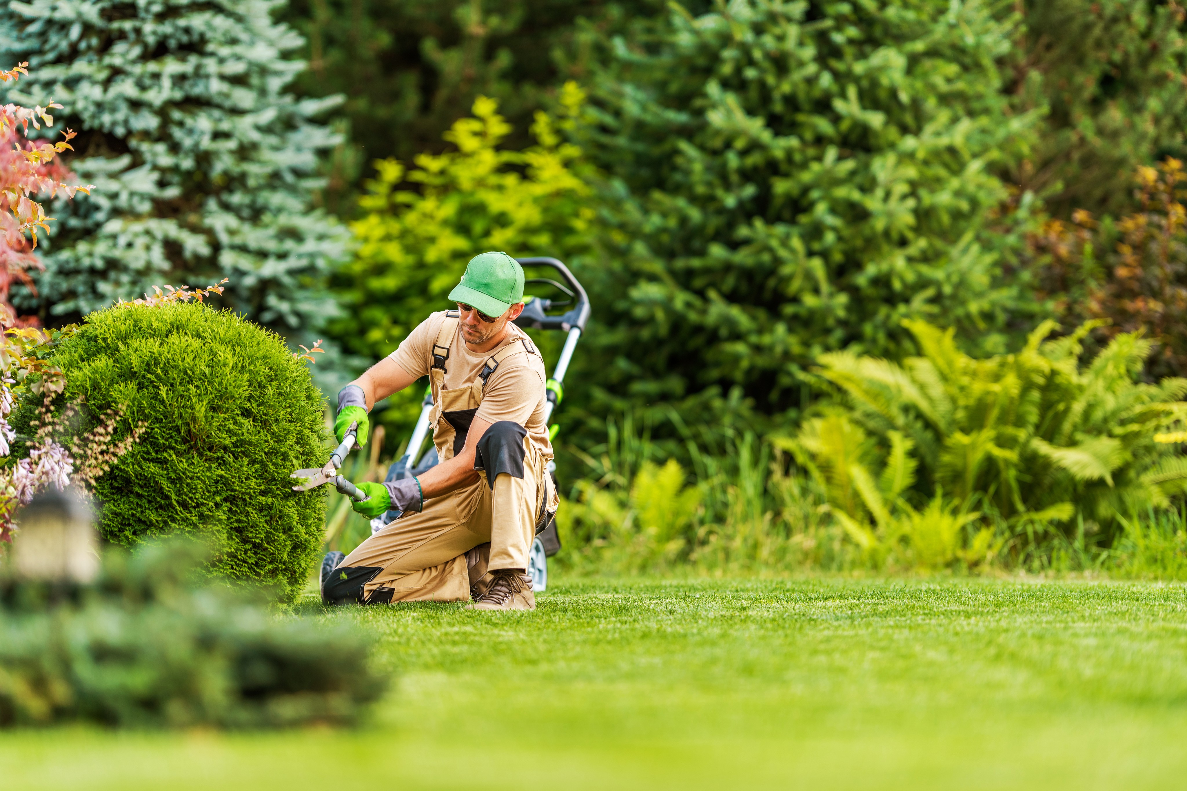 Environment Control Service Group - Commercial Landscaping and Janitorial