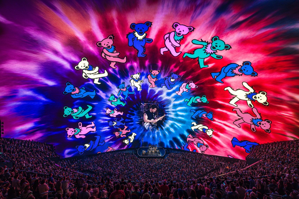 Dead & Company | Vibee