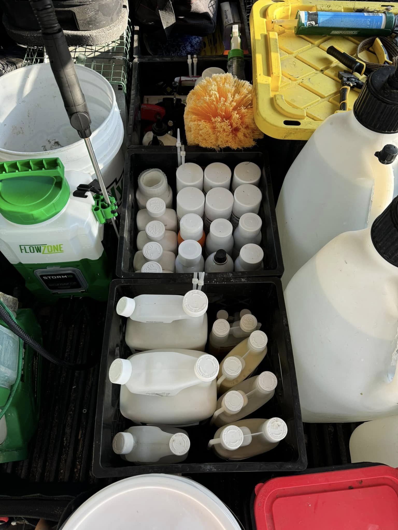 Pest Arrest | Pro Pest Control | Red Wing, MN