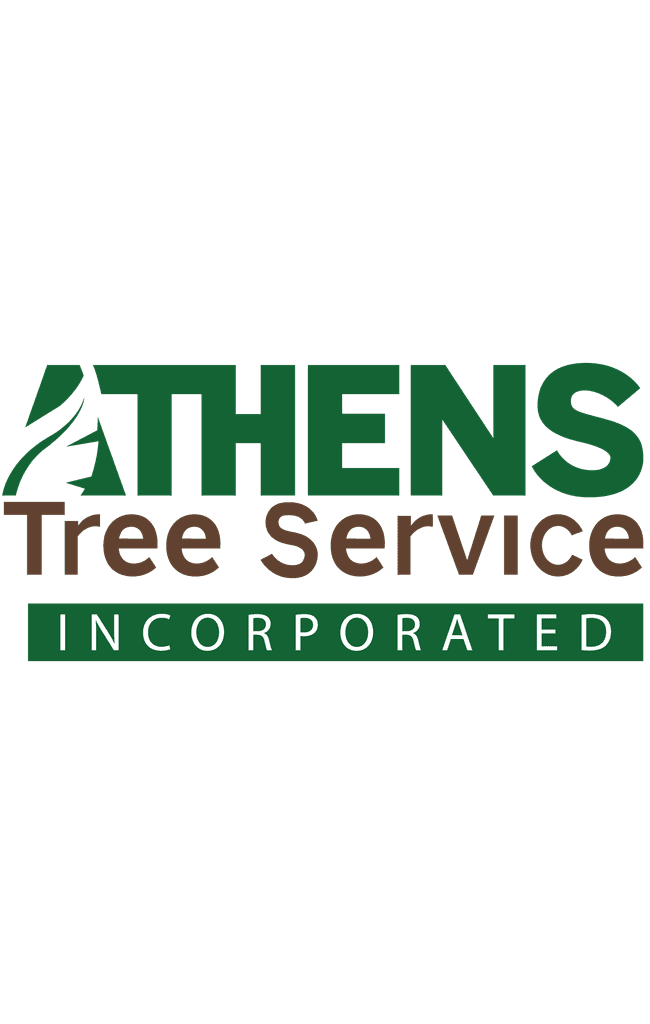 Anderson & Greenville Tree Service - Certified Arborists | Athens Tree ...
