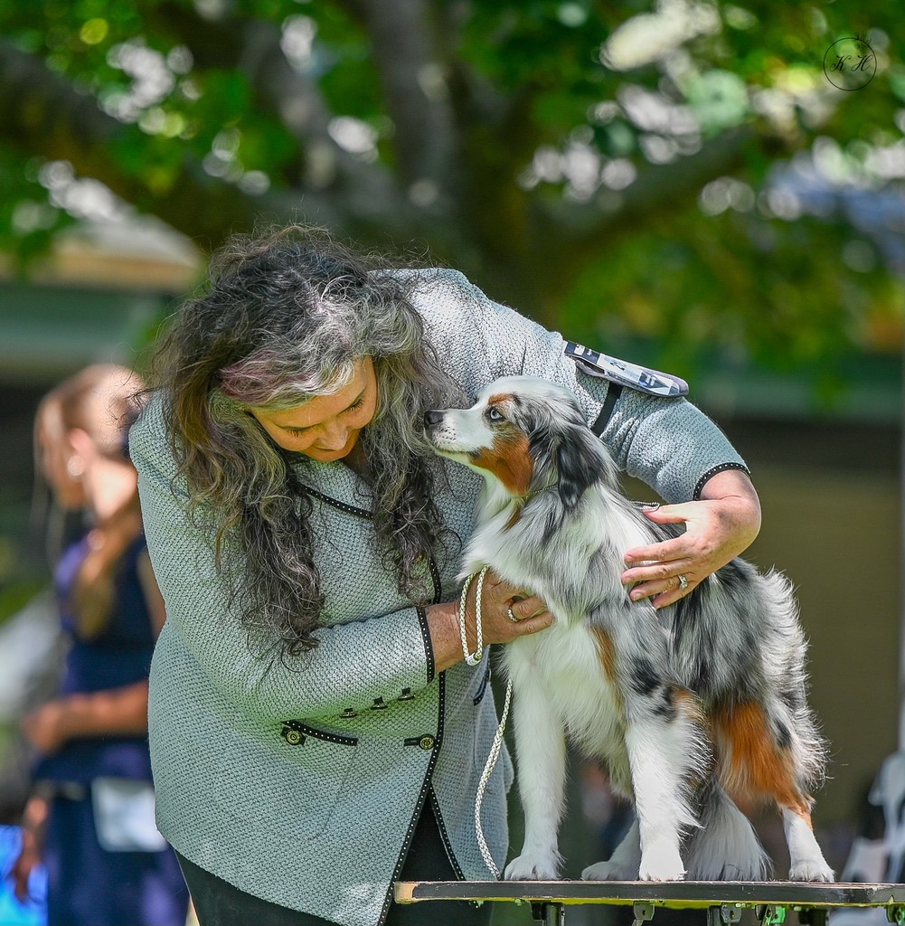PupUp - Connect with Registered Breeders