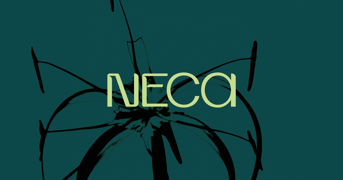 Meet the Team Behind NECA Design Studio
