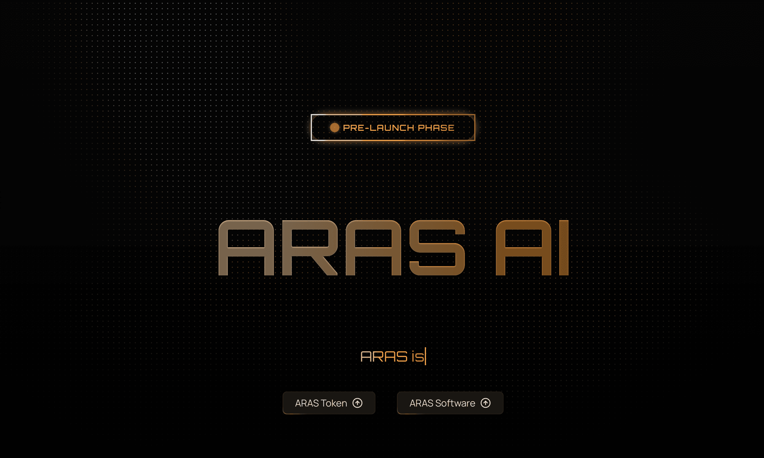 ARAS AI