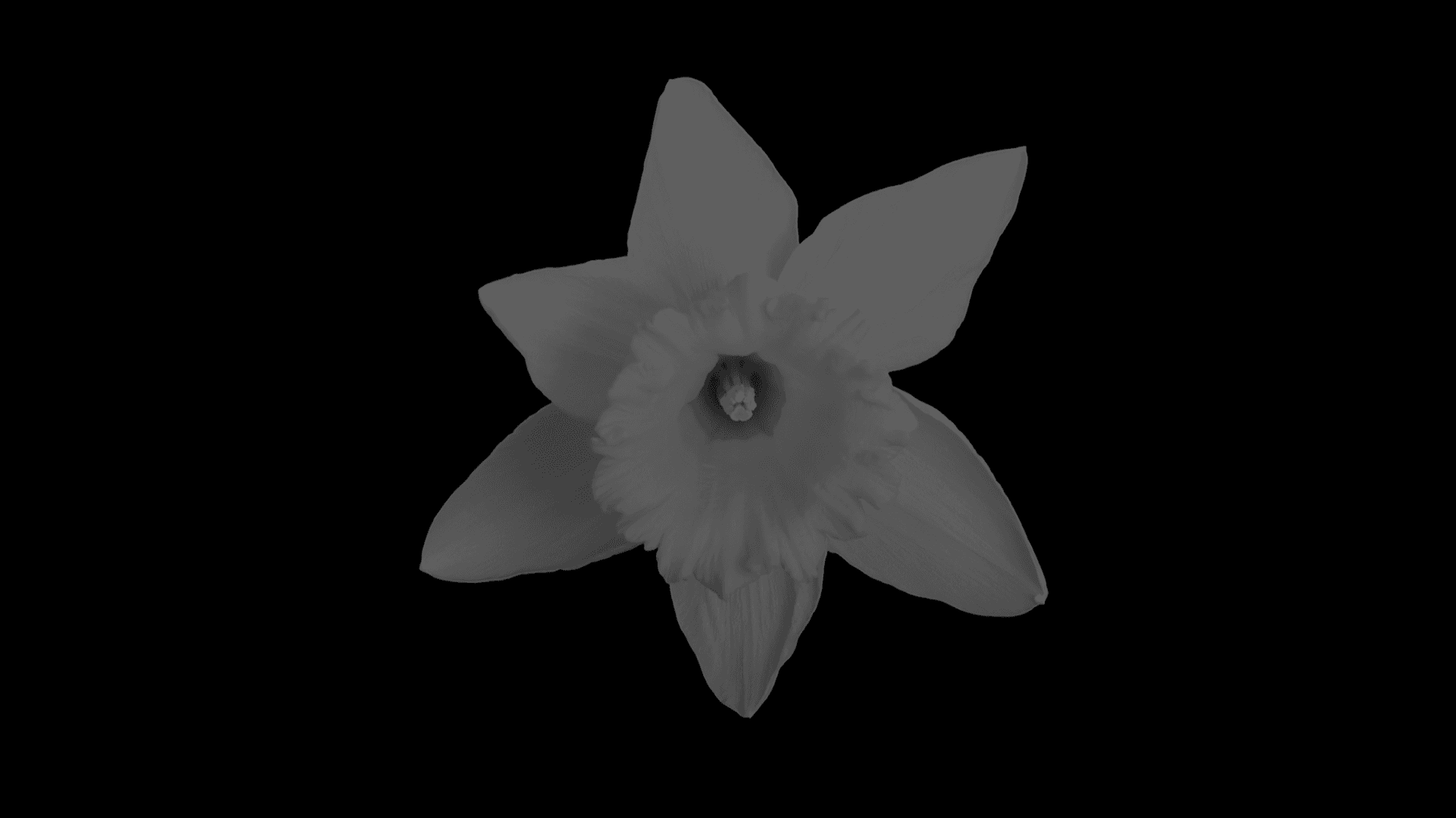 Work — Blink Design Lab