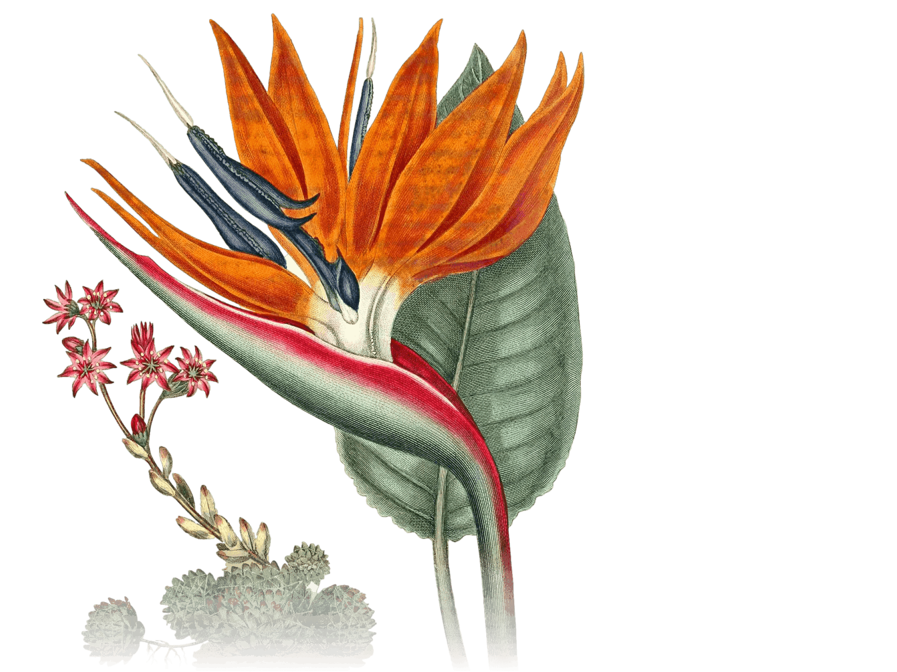 Data Platforms for Engineering Biologics