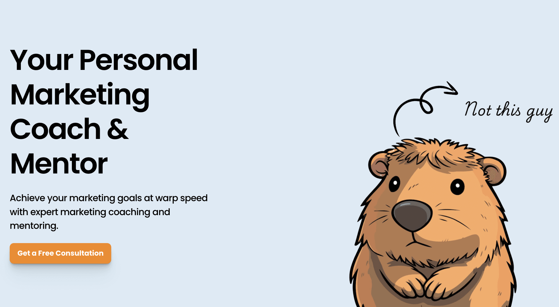 How Does Marketing Mentoring Work? A Step-by-Step Guide | Rokkin Marketing