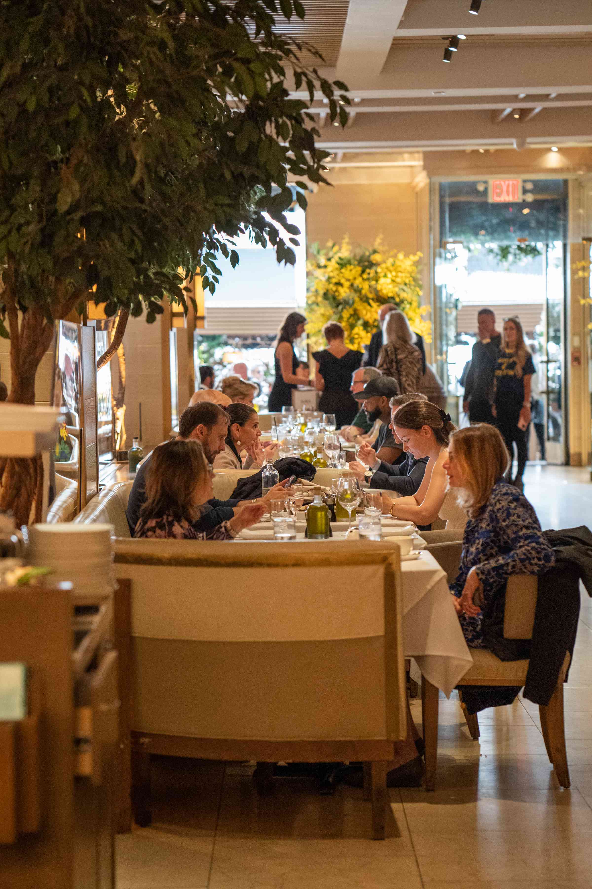 The Avra Group | Avra Madison