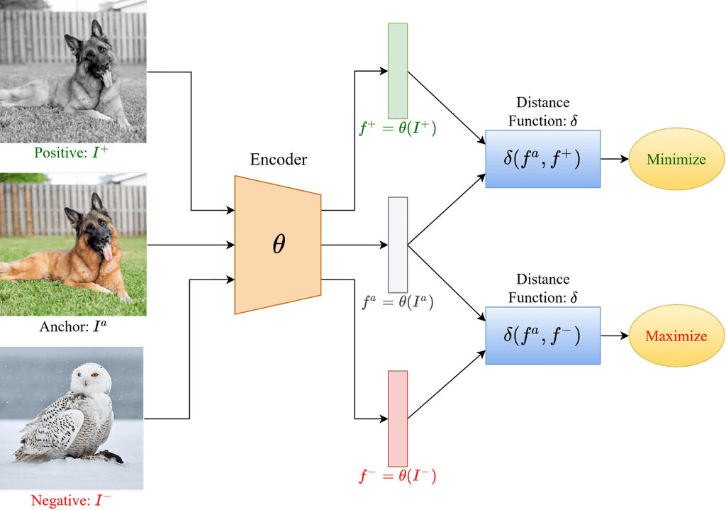 The Beginner’s Guide to Contrastive Learning