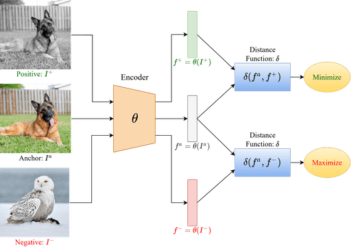 The Beginner’s Guide to Contrastive Learning