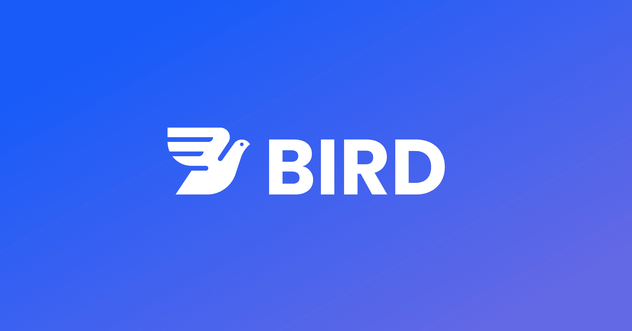 Bird CRM: Revolucionando Marketing, Sales, & Payments