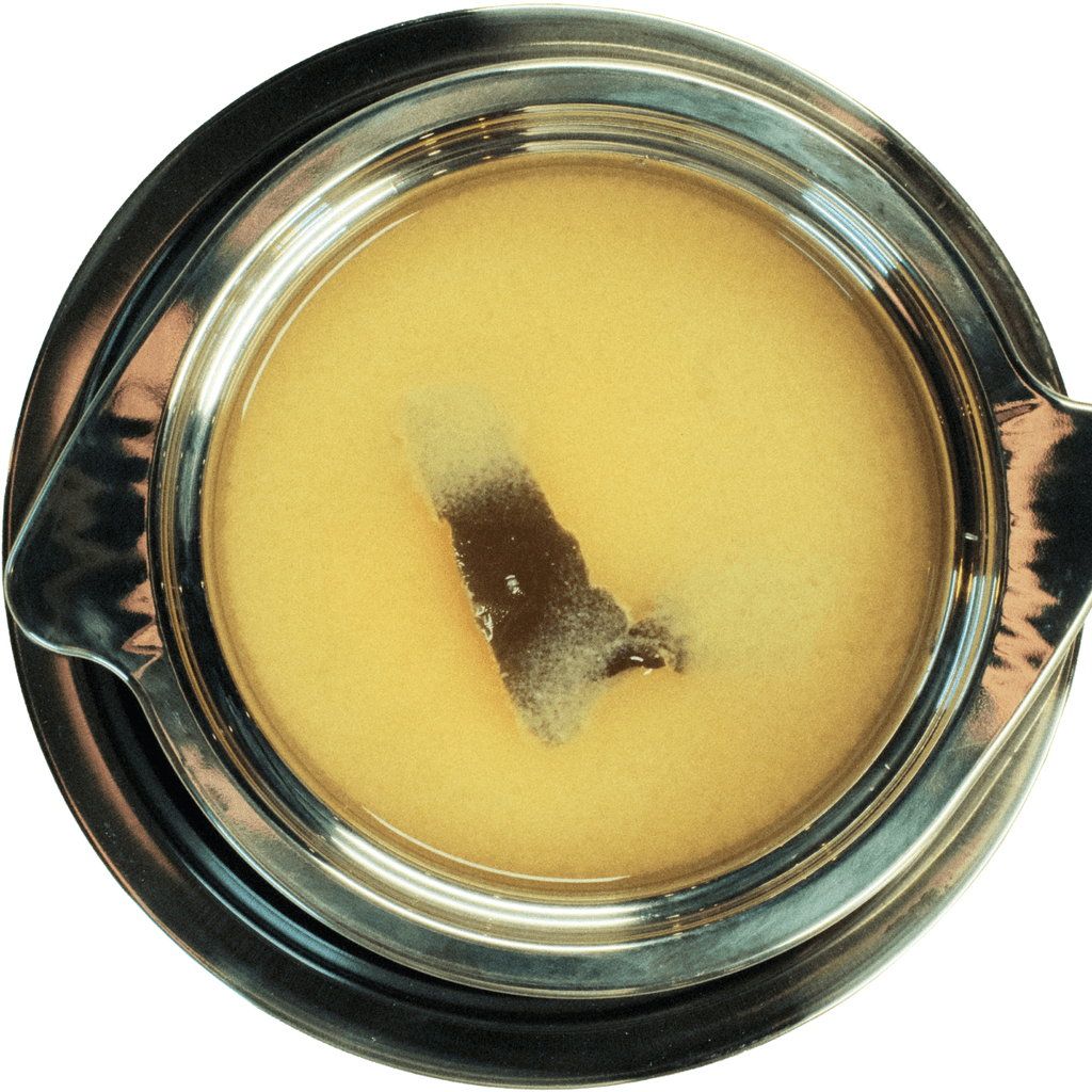 DAM-A, Korean Hotpot ,BBQ & Springroll - Austin Hotpot | 담아 오스틴 - 바베큐 핫 ...