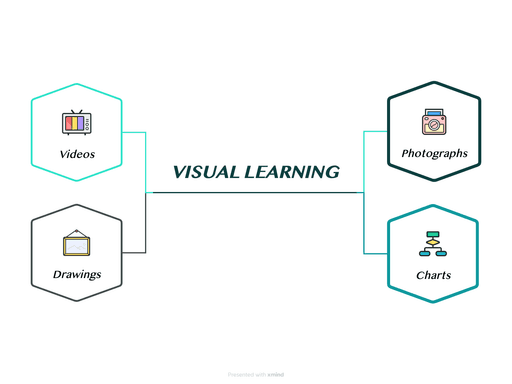 7 Types of Learning Styles: Definition and Example