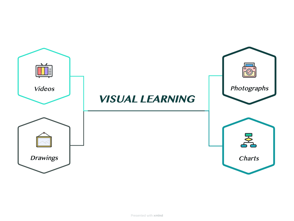 7 Types of Learning Styles: Definition and Example