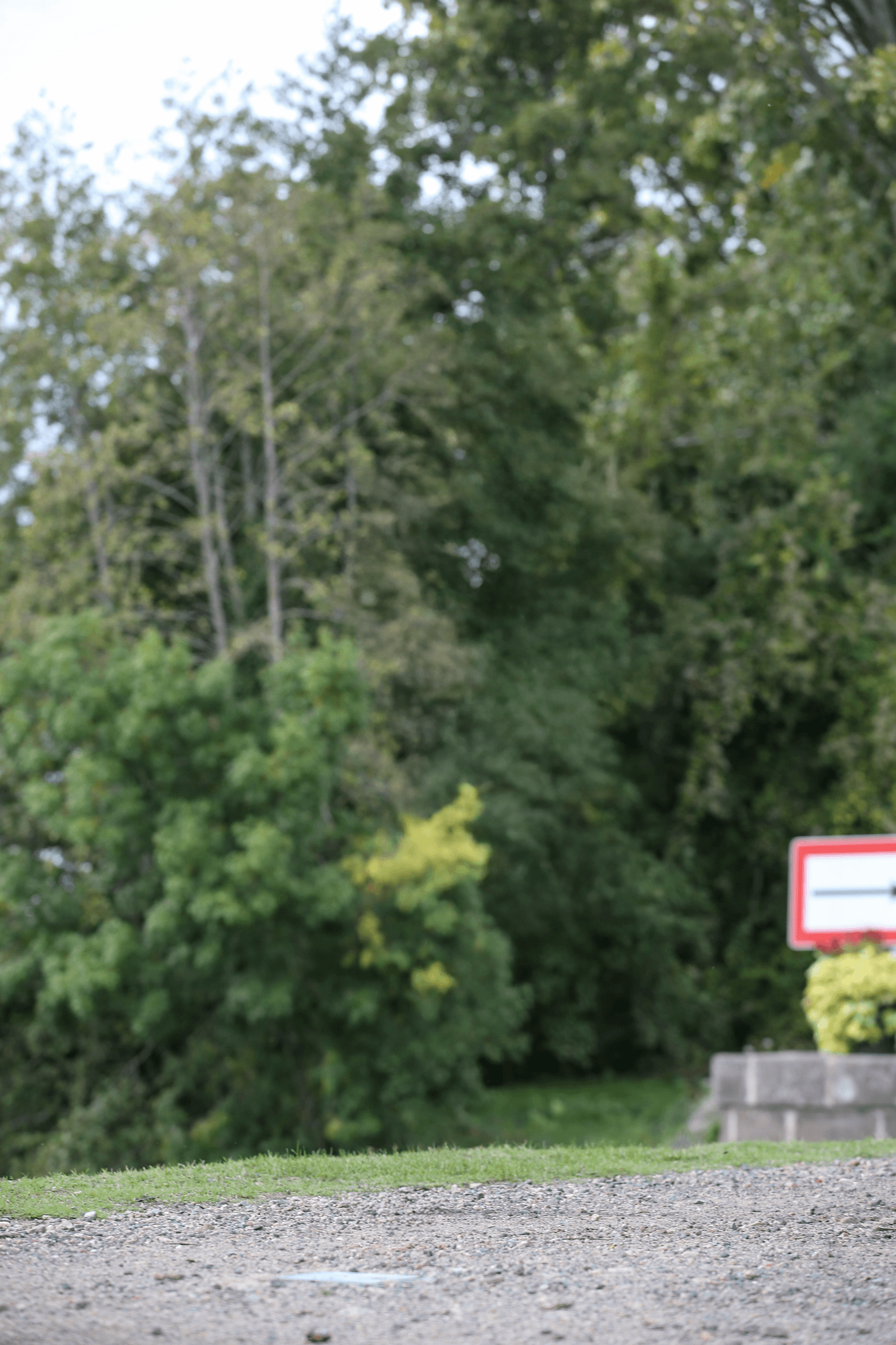 Training camp – Iten Kenya - RUN'IX Athletic Center