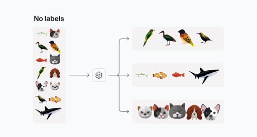 Understanding the Difference Between Labeled and Unlabeled Data