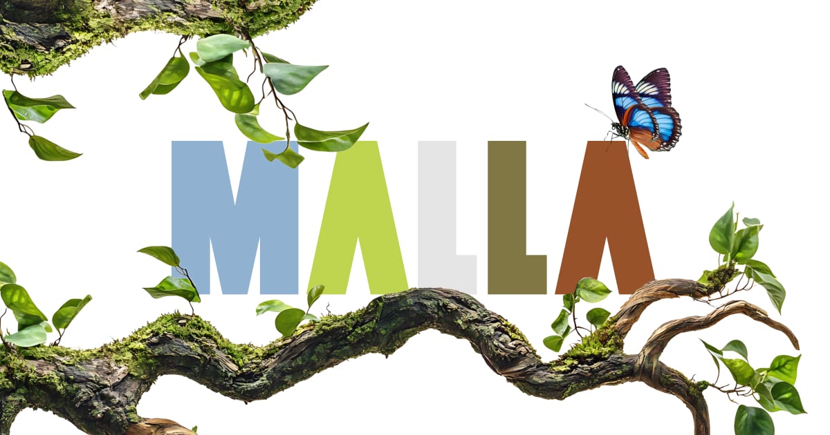 malla: the platform built for functional practitioners