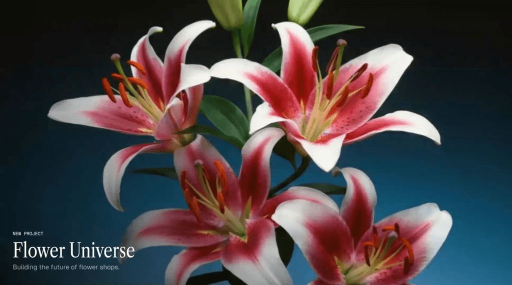 Best Free Framer Resources — Framer University