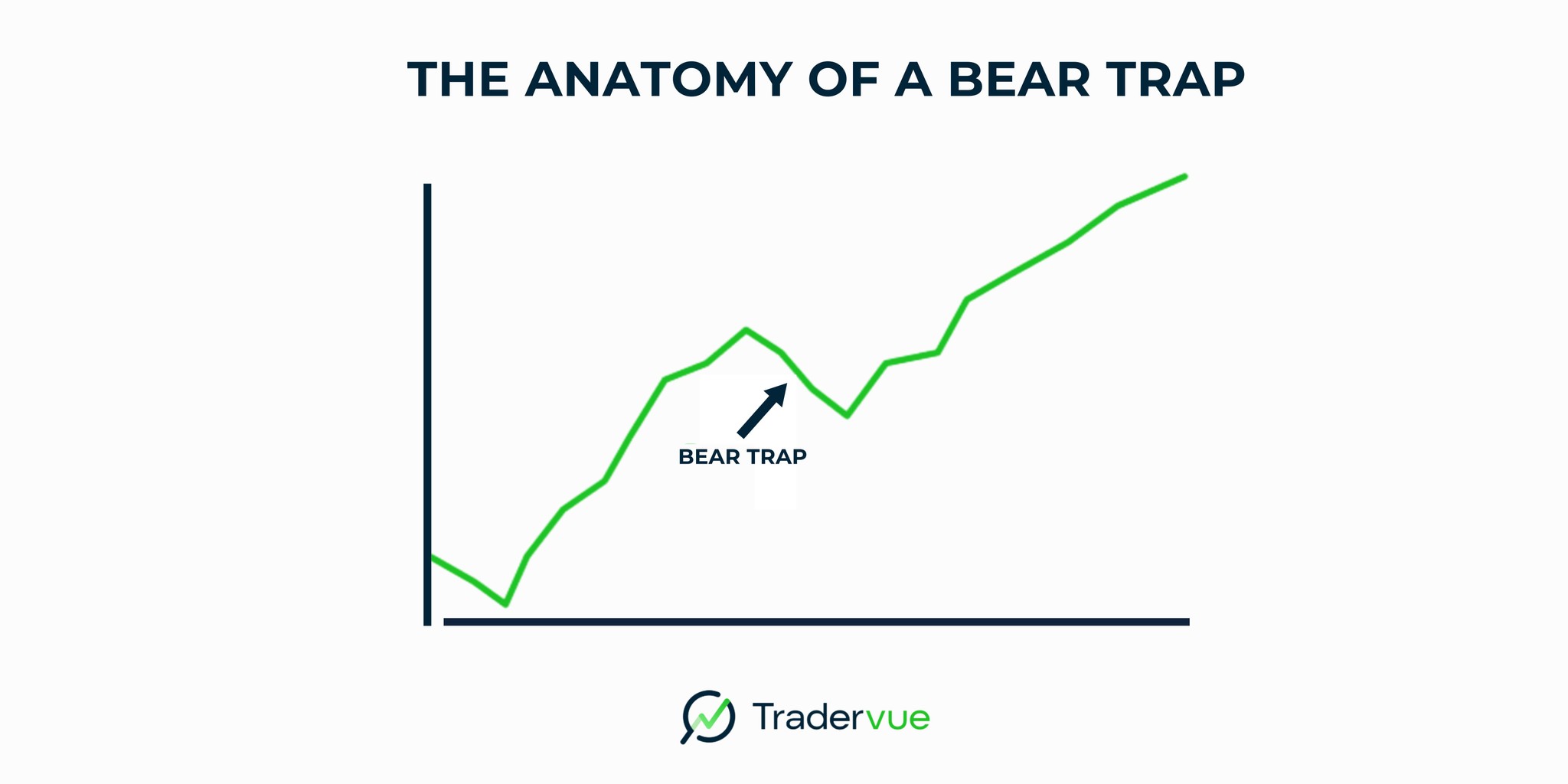 What is a Bear Trap and how to avoid? | ( COMPLETE GUIDE)