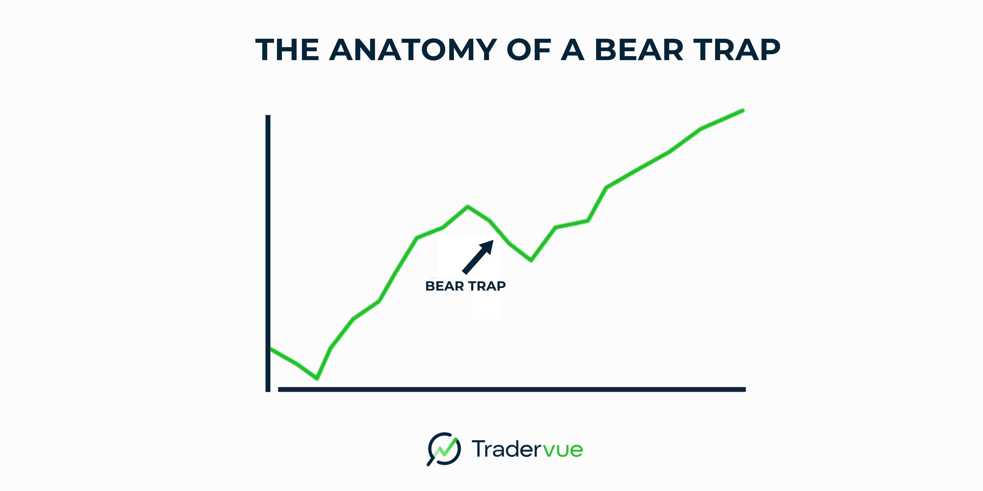 What is a Bear Trap and how to avoid? | ( COMPLETE GUIDE)