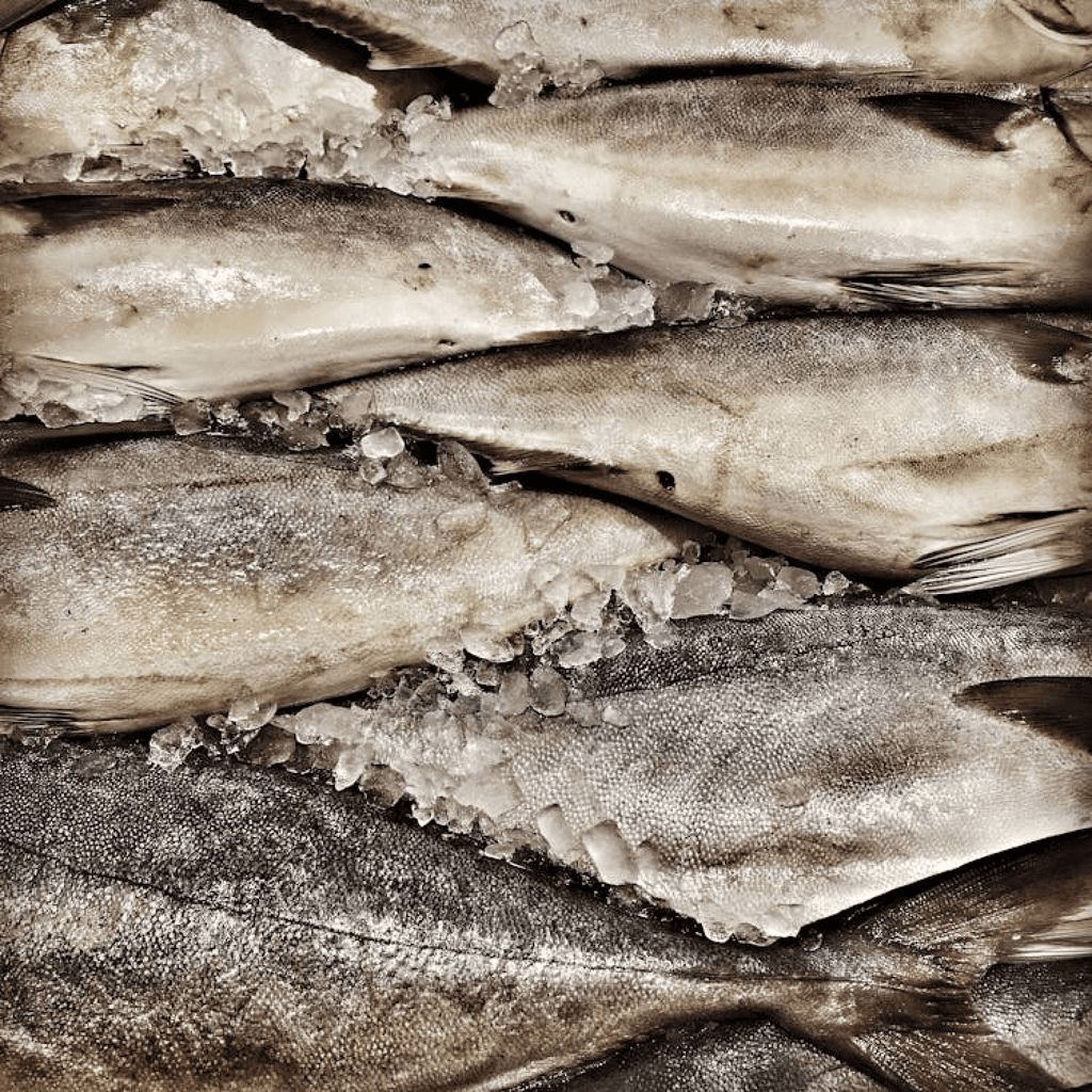 Dry Fish Scales – Nizona Marine Products