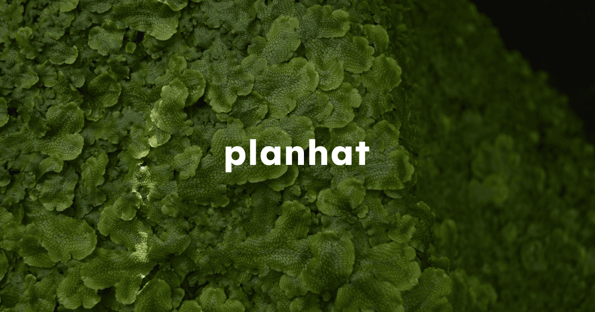 Planhat | The Customer Platform
