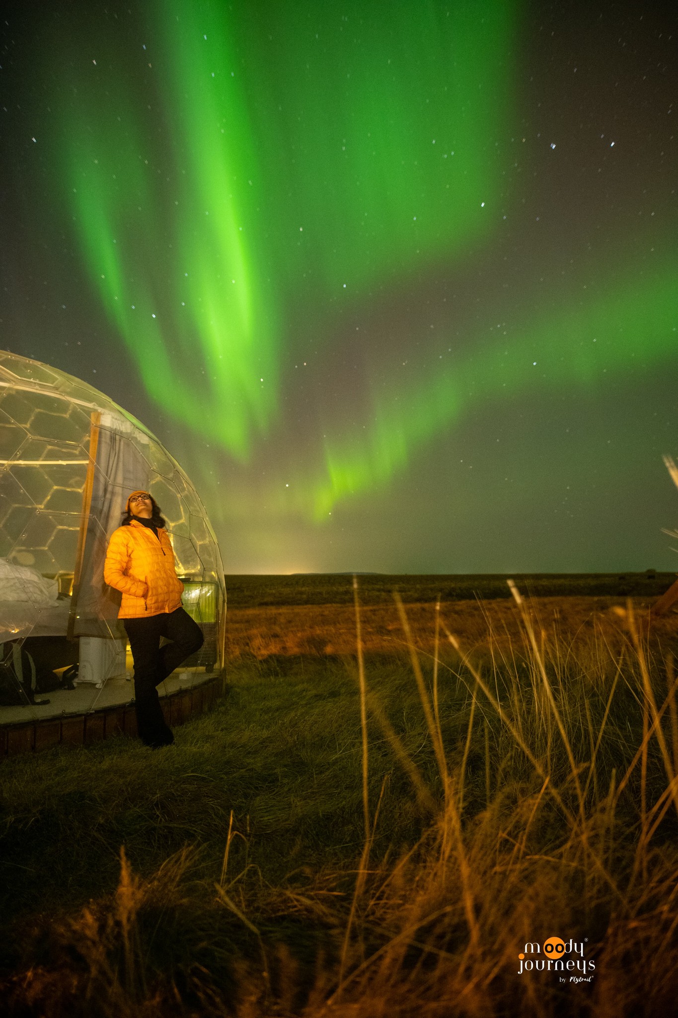 Flytrail - Premium self drive road trips