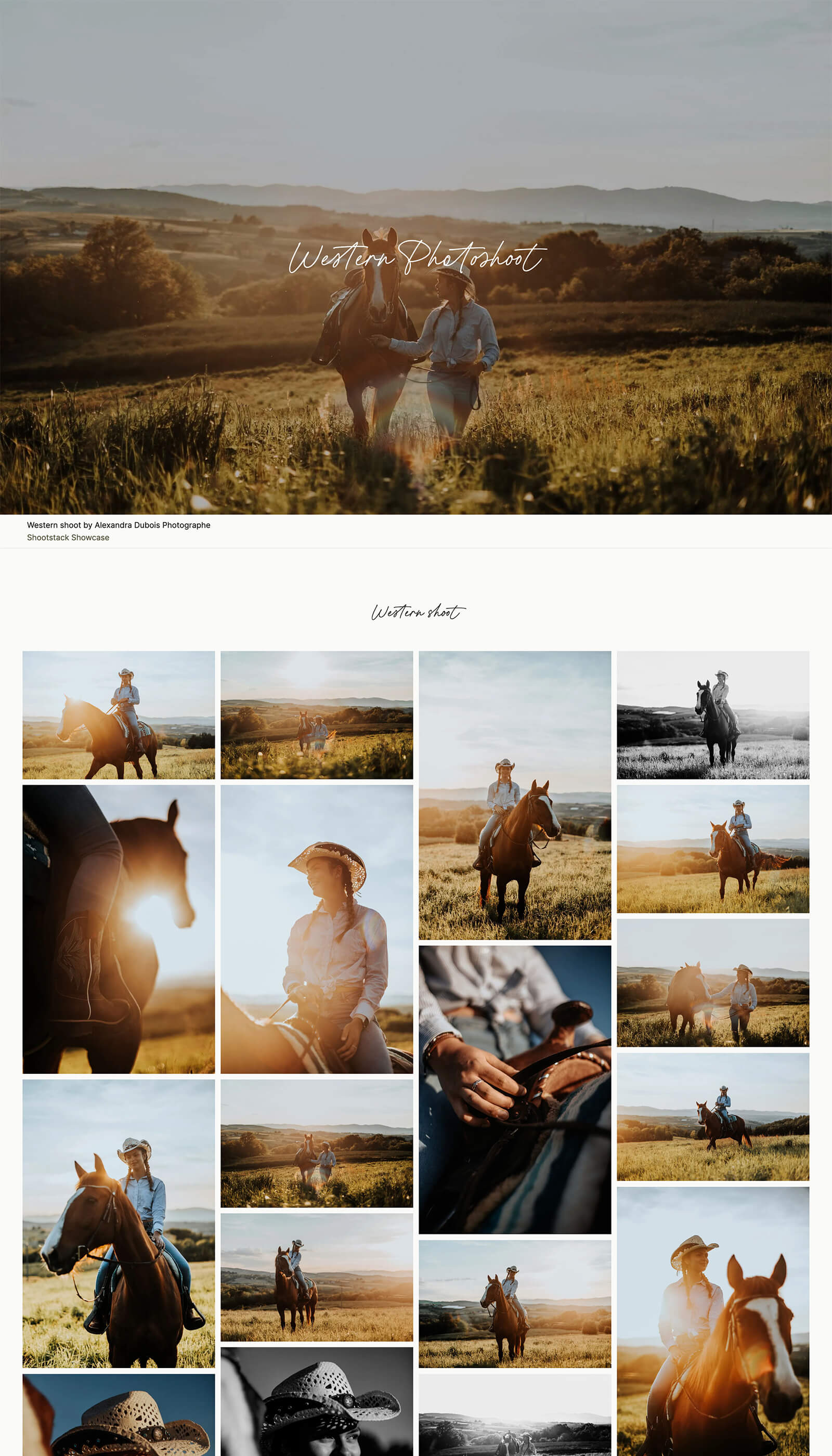 Gallery Showcase — Shootstack