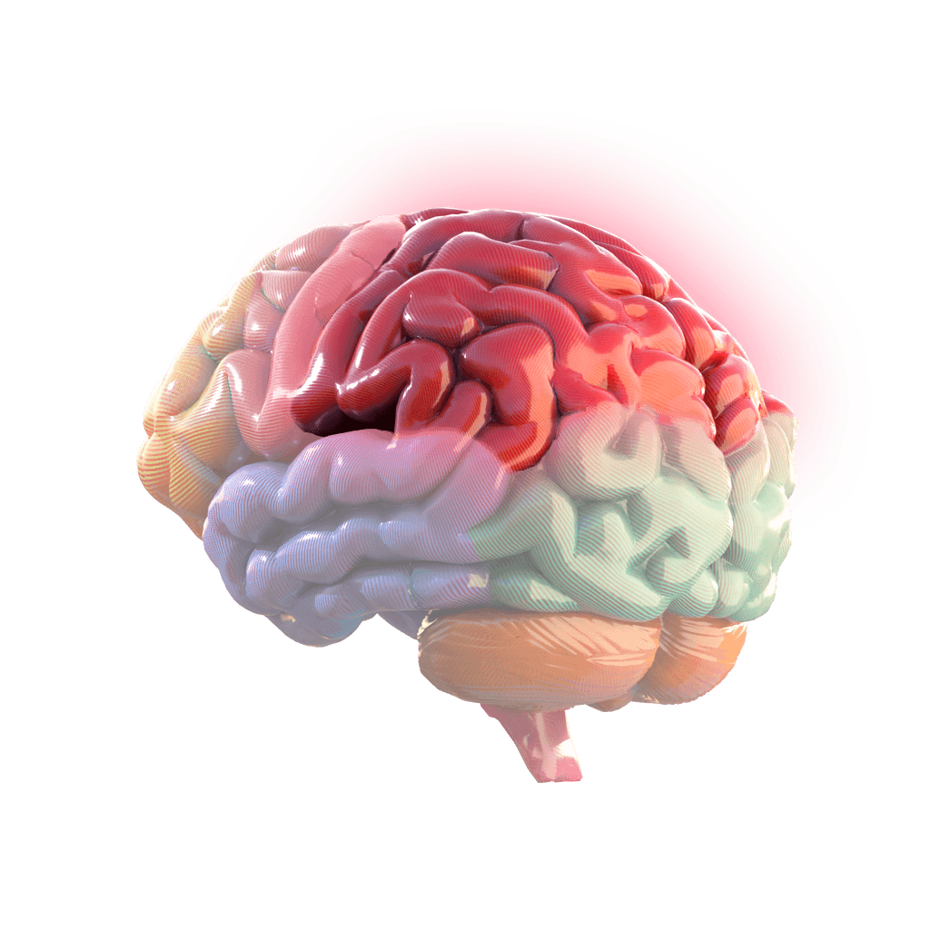 What Are Brainwaves & How to Read a Brain Map | Myndlift
