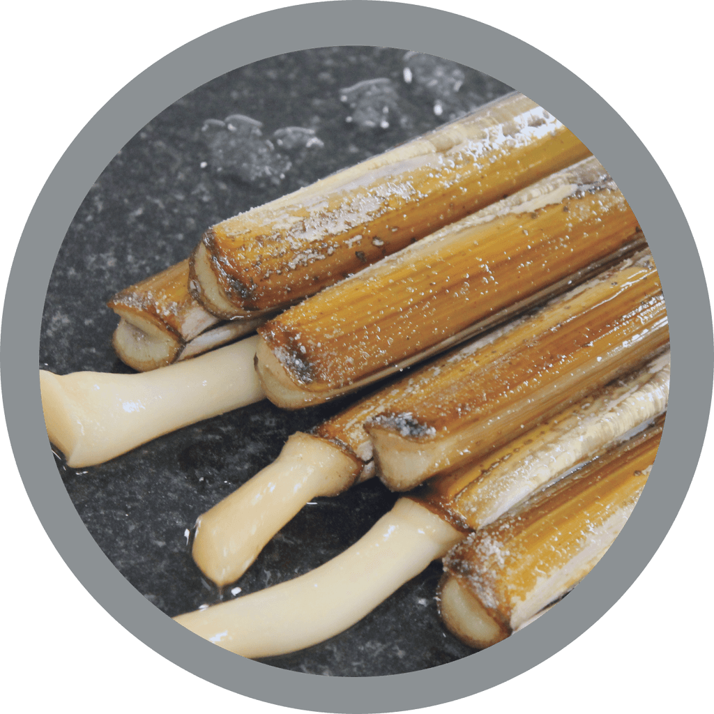 Glenmar Shellfish Ltd.