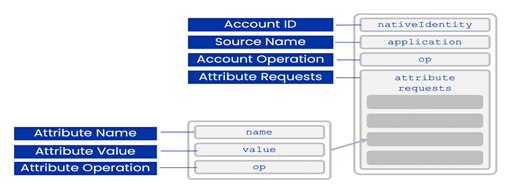 SailPoint IdentityNow Provisioning Process - BLS 360