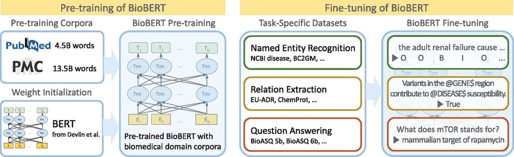 Transformer Architecture: Redefining Machine Learning Across NLP and Beyond