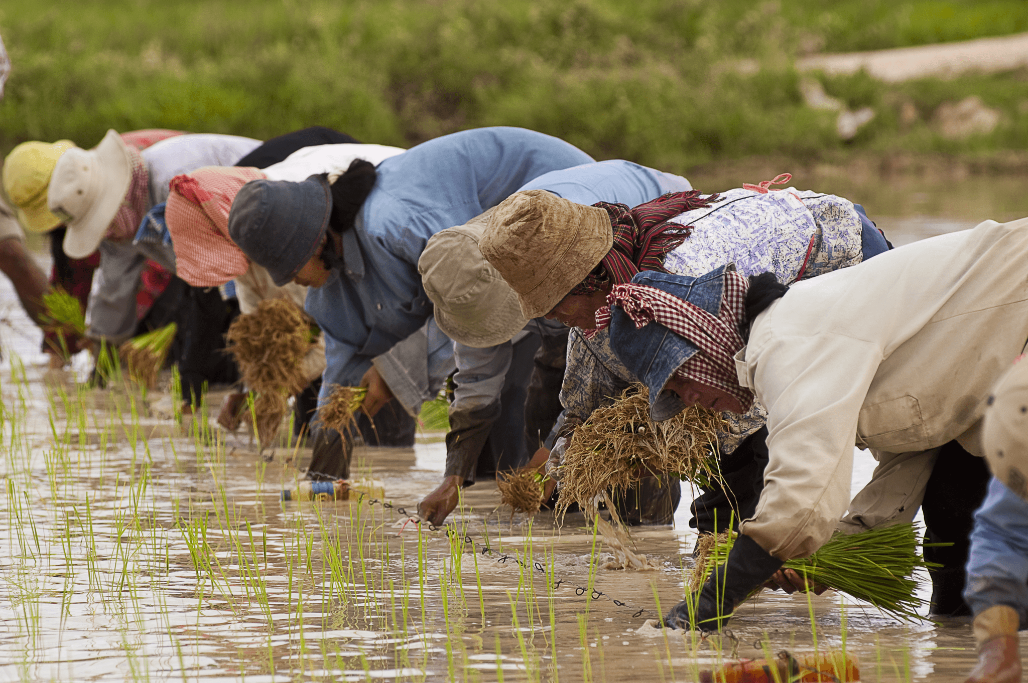 Keeping America Safe | Alliance 4 American Leadership