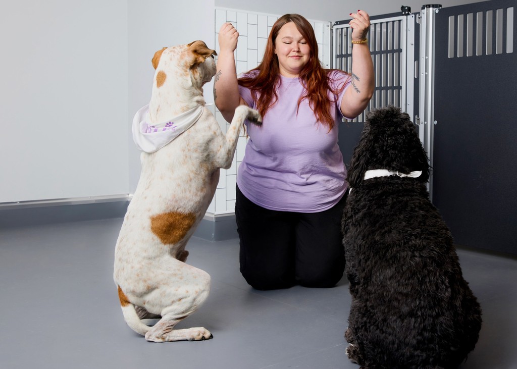 Molly's Dog Care | Daycare, Boarding, Grooming, Training