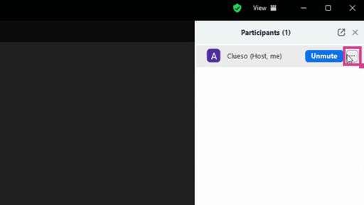 How to rename yourself on Zoom