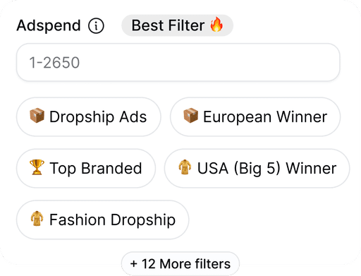 Winning Hunter - All-In-One Ecommerce Spytool