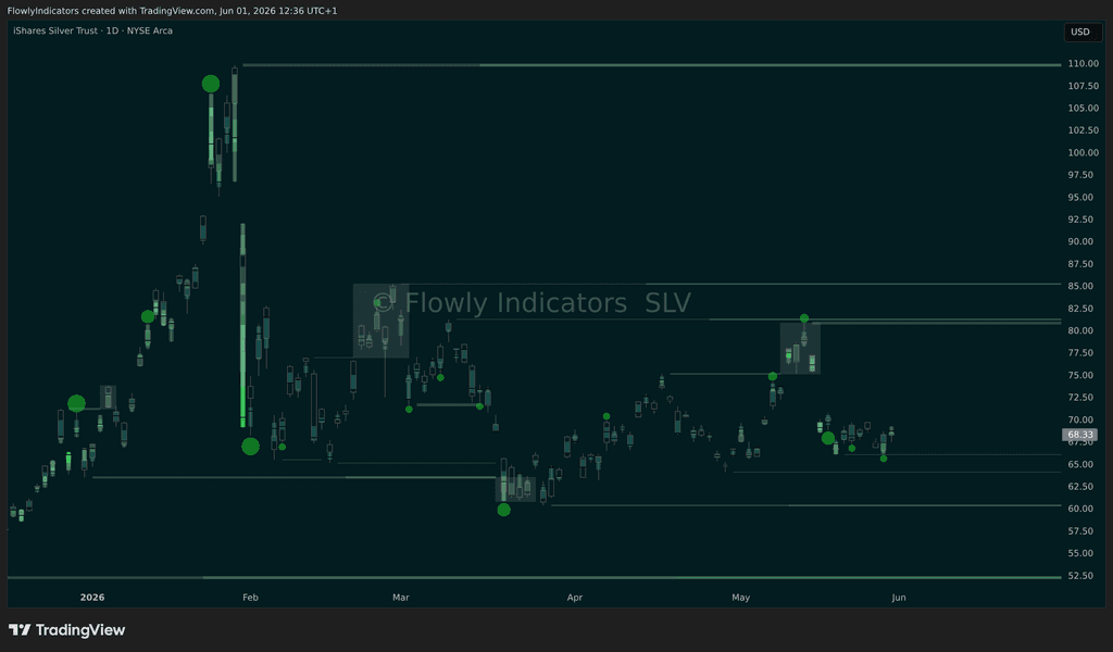 Silver ETF (SLV) Liquidity Levels, Liquidations & Unusual Volume