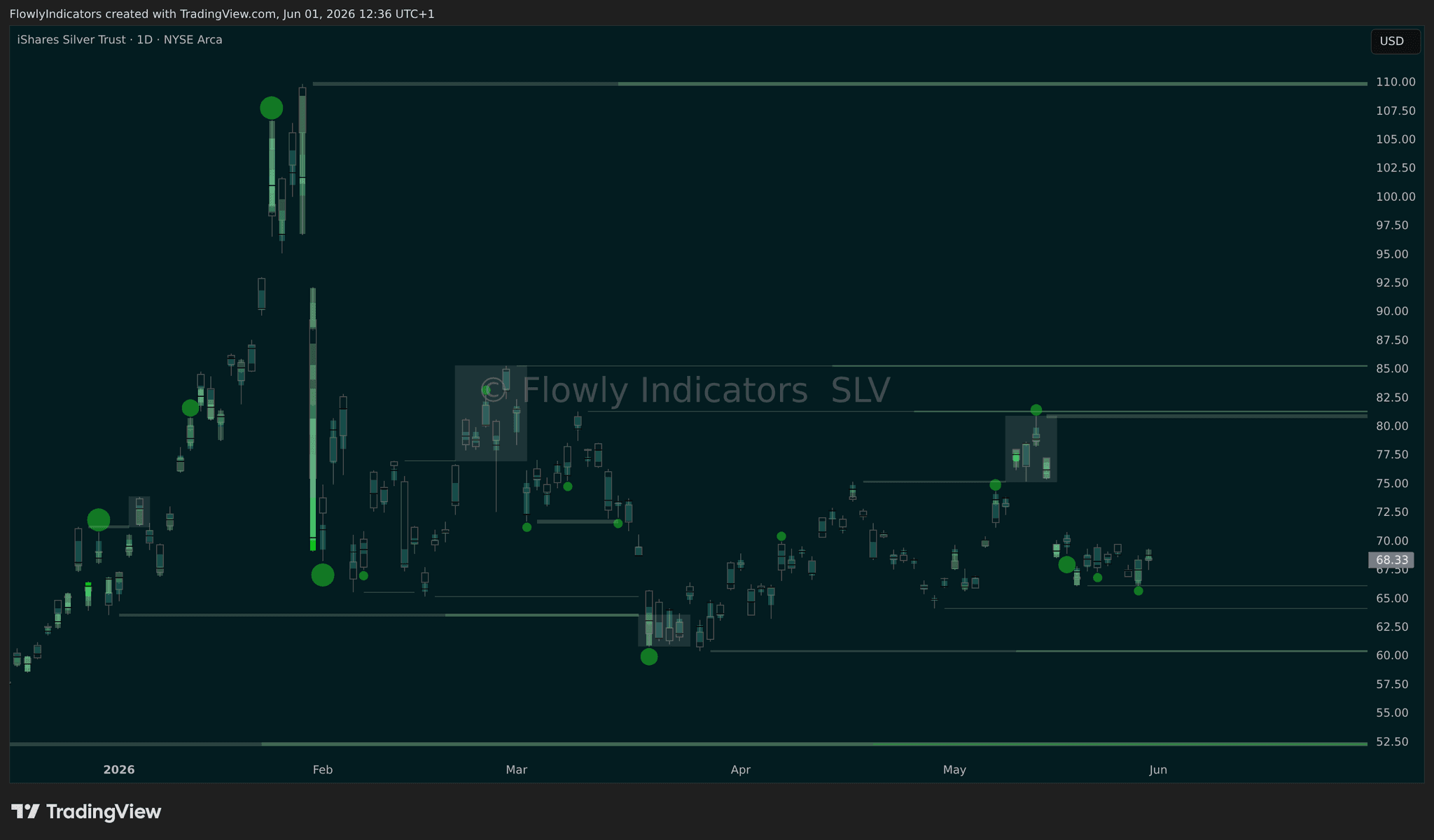 Silver ETF (SLV) Liquidity Levels, Liquidations & Unusual Volume