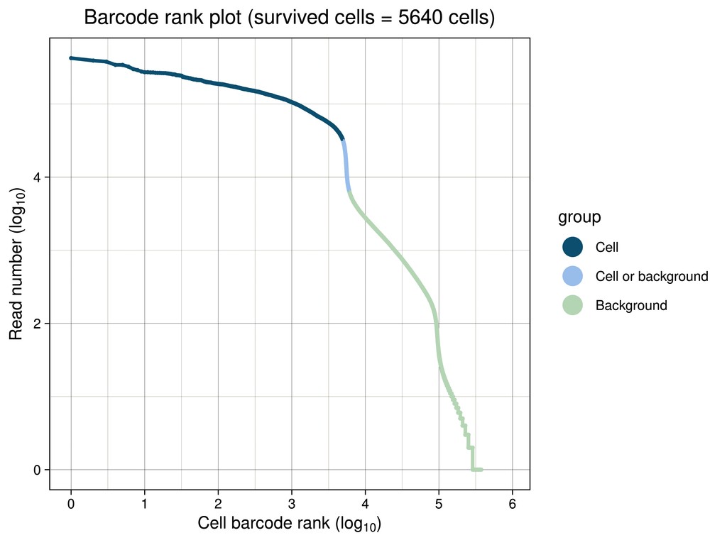 シングルセルRNA-seq | イムノジェネテクス (ImmunoGeneTeqs)