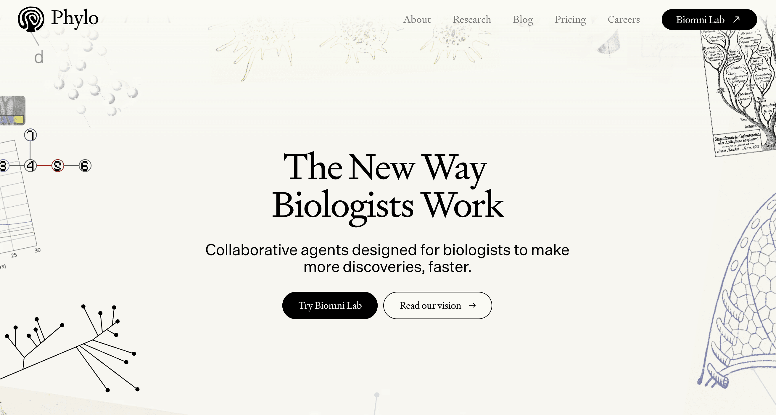 Phylo - Research