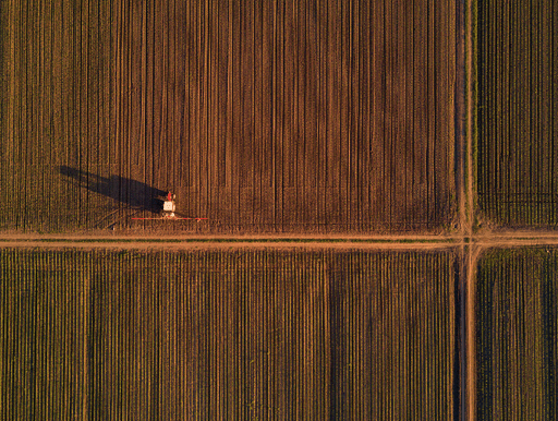 The Earth Rover Program / Team