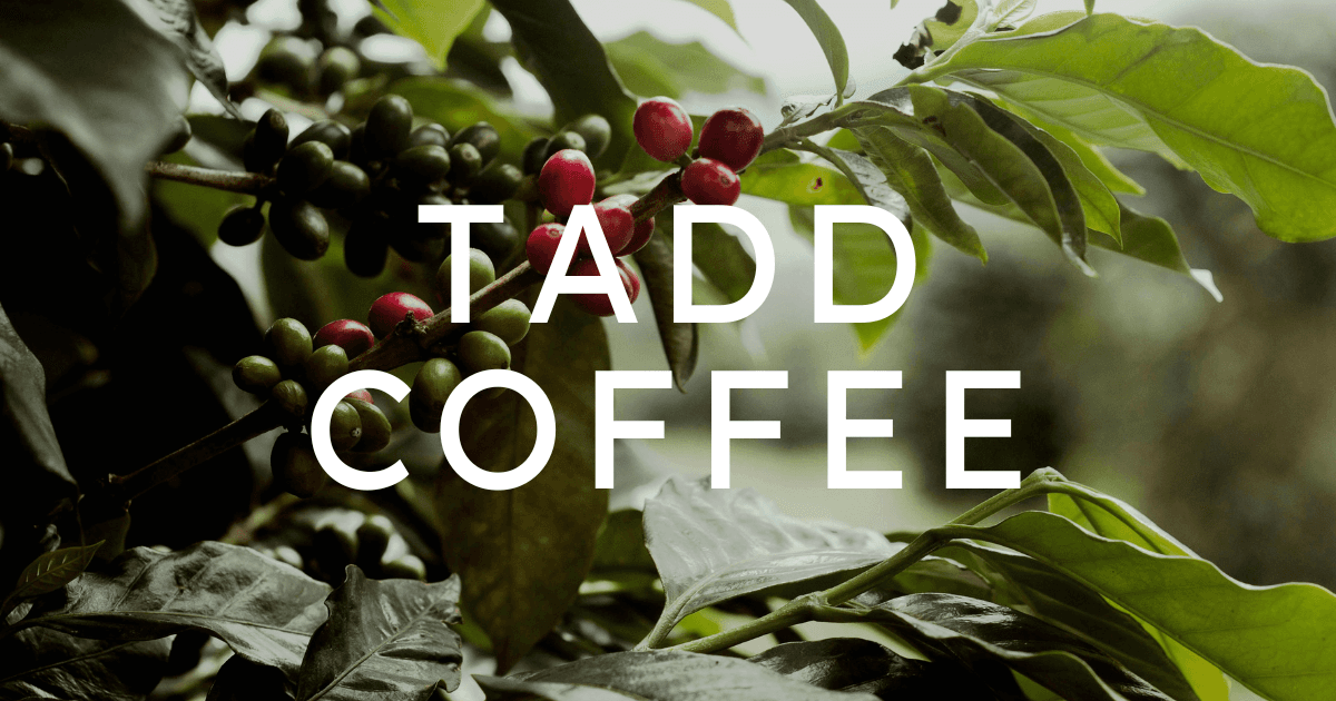 Tadd Coffee Shop | Buy Specialty Coffee Beans, Green Coffee, and Fresh ...