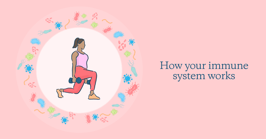 How Your Immune System Works
