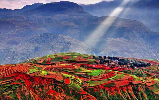 Moyasar - The Easiest Online Payment Gateway in Saudi Arabia