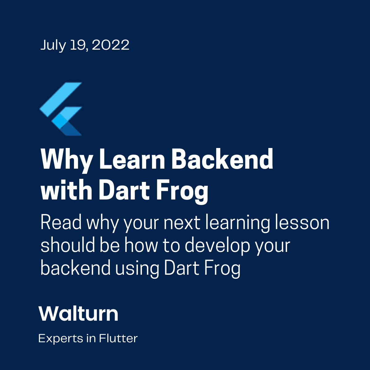 Why learn Backend with Dart Frog - Walturn Insight