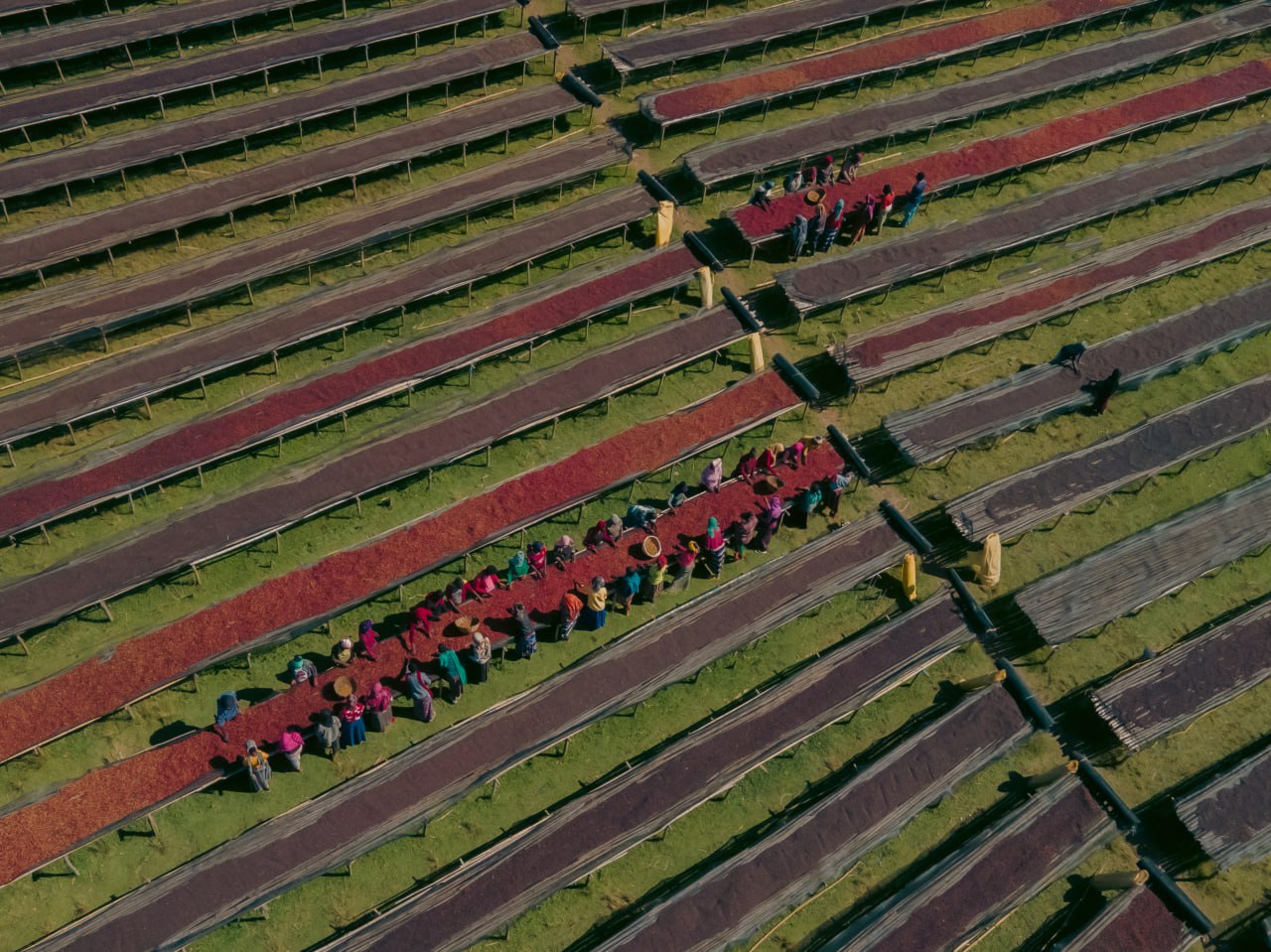 Welcome to Faysel Abdosh’s inaugural 2025 auction